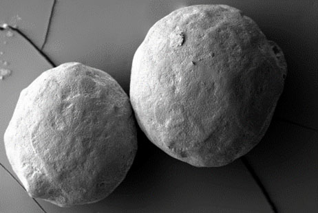 Delayed Release Pellets – Innoveau Chemicals Limited